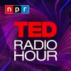 What Makes The Human Brain Unique? | TED Radio Hour | WQXR