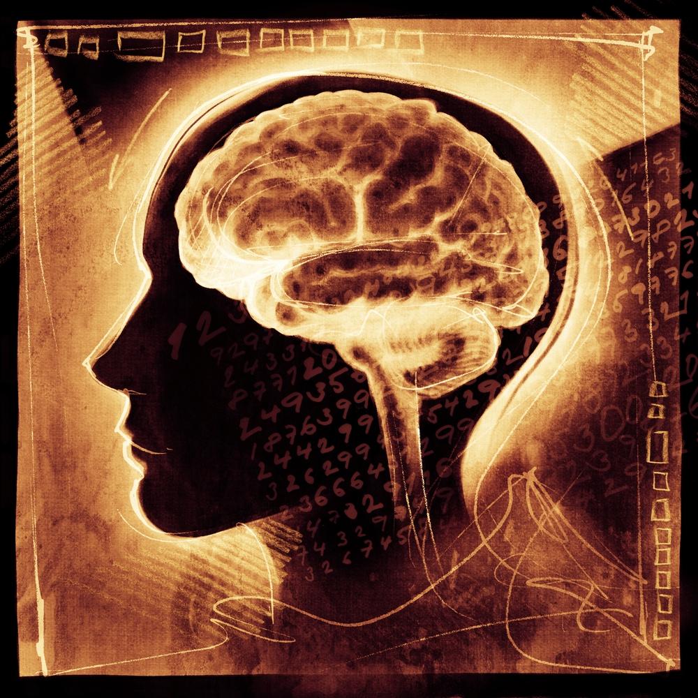 Episode 7: This Is Your Brain on Politics | Notes from America with Kai ...