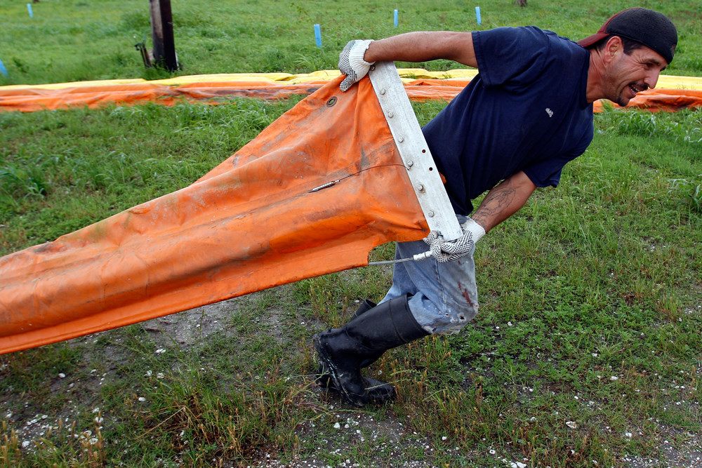 Oil Cleanup Jobs Help Gulf for Now, But What Comes Later? | The ...
