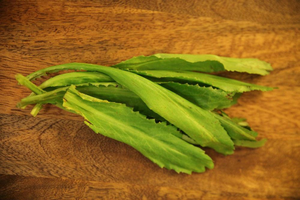 Last Chance Foods: A Compromise for Cilantro Haters? | WNYC | New York ...