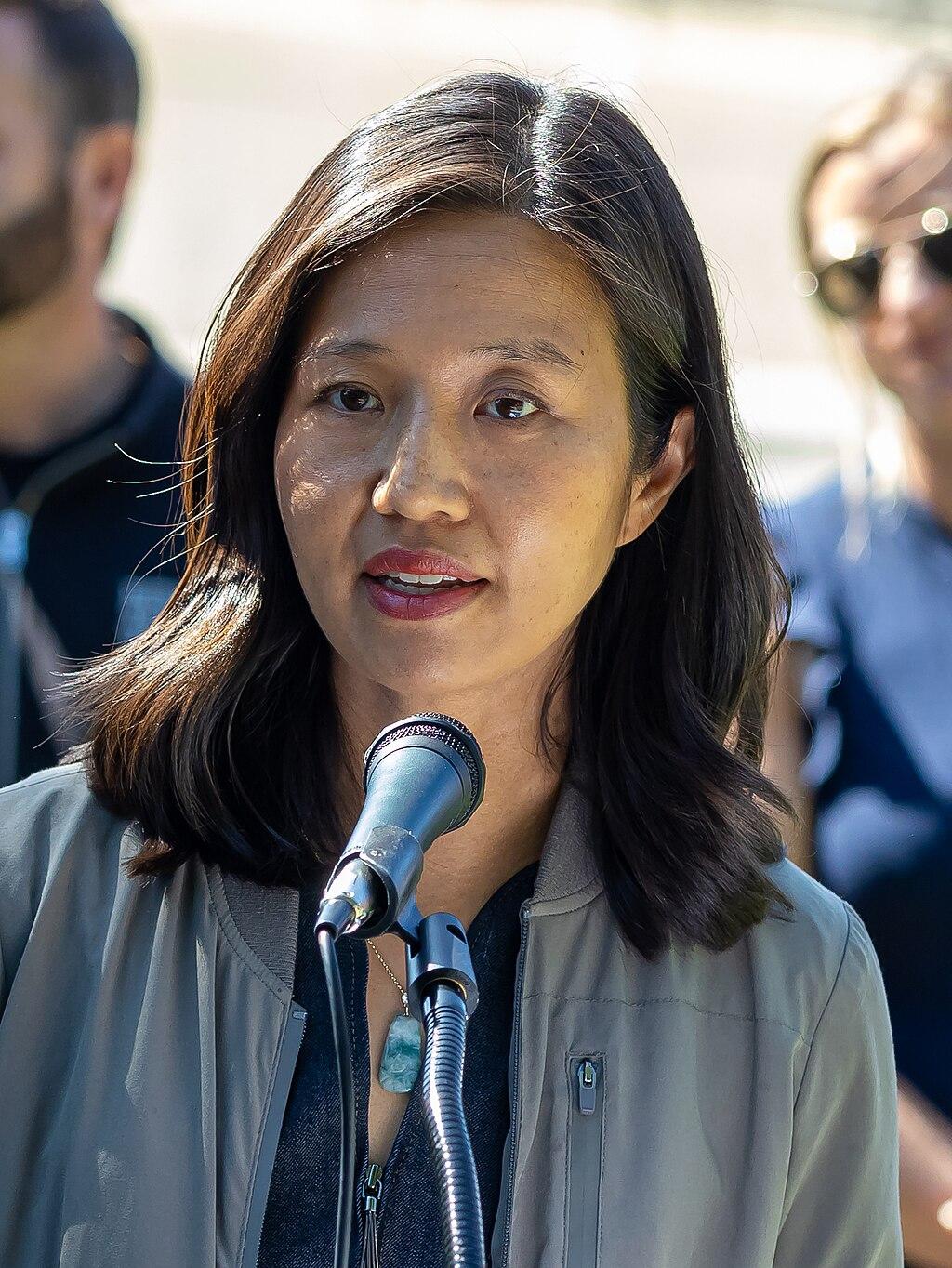 A Mayoral Election in Boston and Why it Matters | The Brian Lehrer Show ...