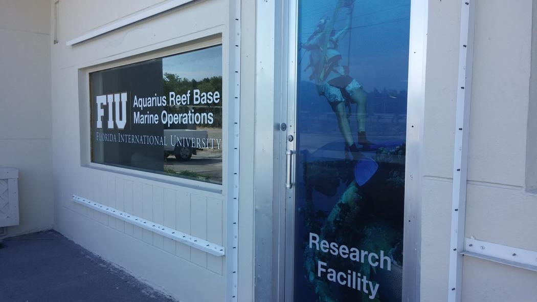 Inside the World's Only Undersea Lab | The Takeaway | WQXR