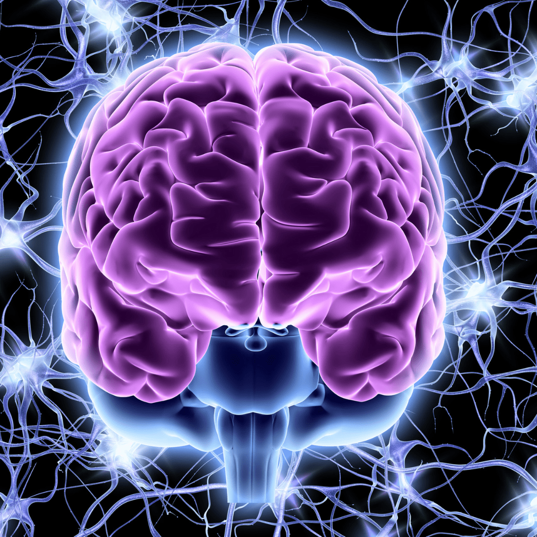 The Science of the Hijacked Brain | The Takeaway | WNYC Studios