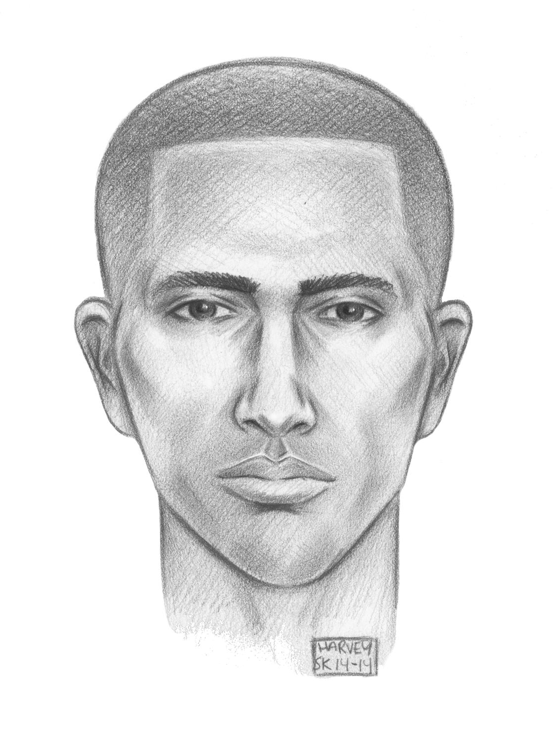 Police Release Sketch in Journalist Attack; Hate Crime Suspected | WNYC ...