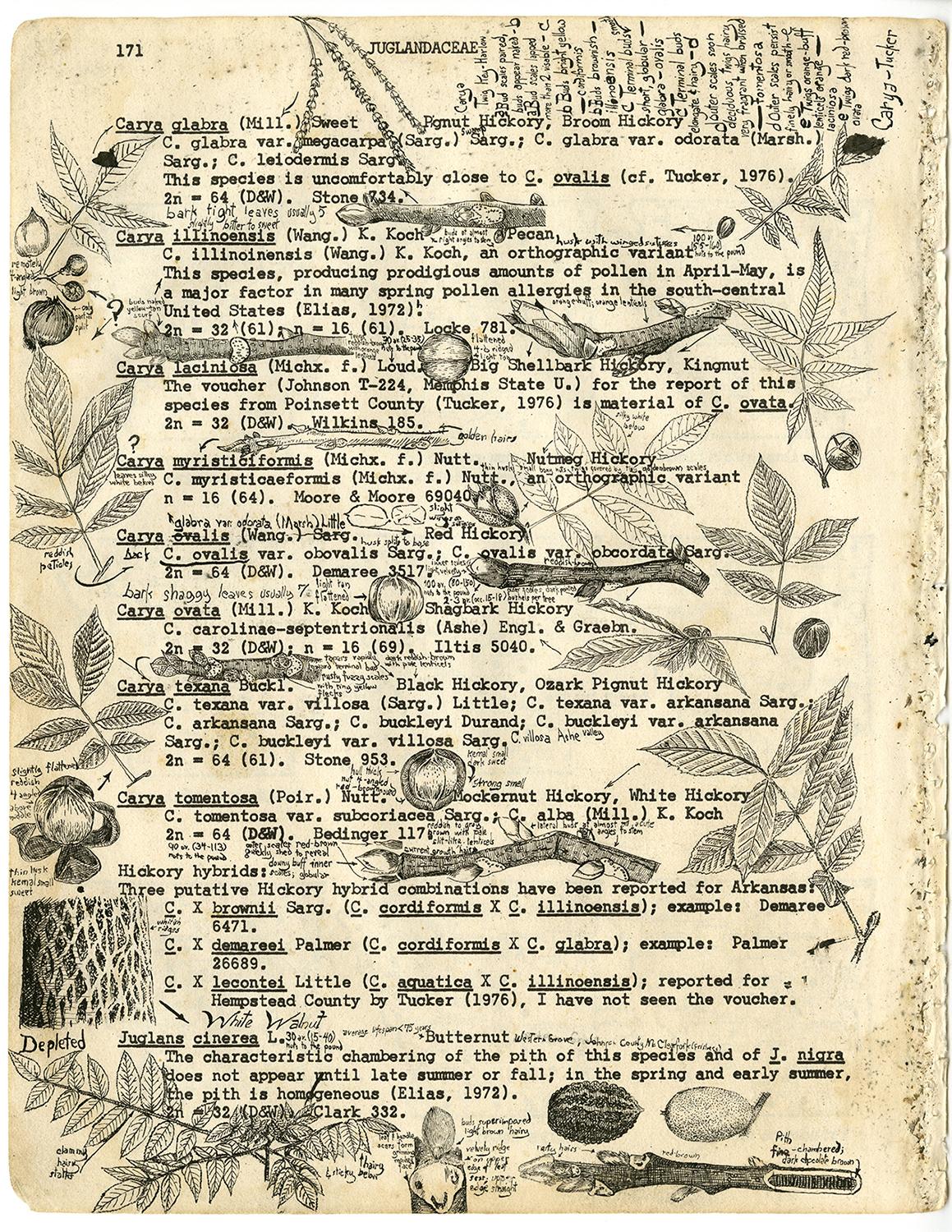 Kent | 10 Things That Scare Me | WNYC Studios