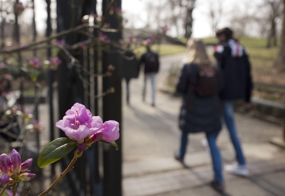 Your Stir-Crazy, Waiting-for-Spring Coping Mechanisms | WNYC | New York ...