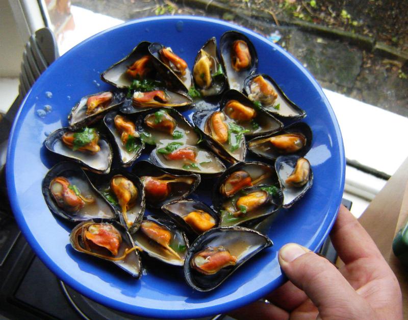 An Everything Guide to Farming and Eating Mussels, Clams, and more ...