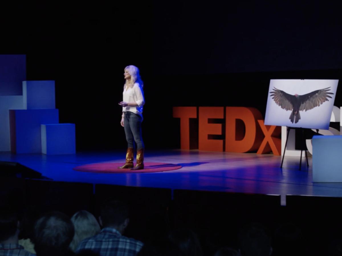 A murder case — solved by vultures | TED Radio Hour | WNYC