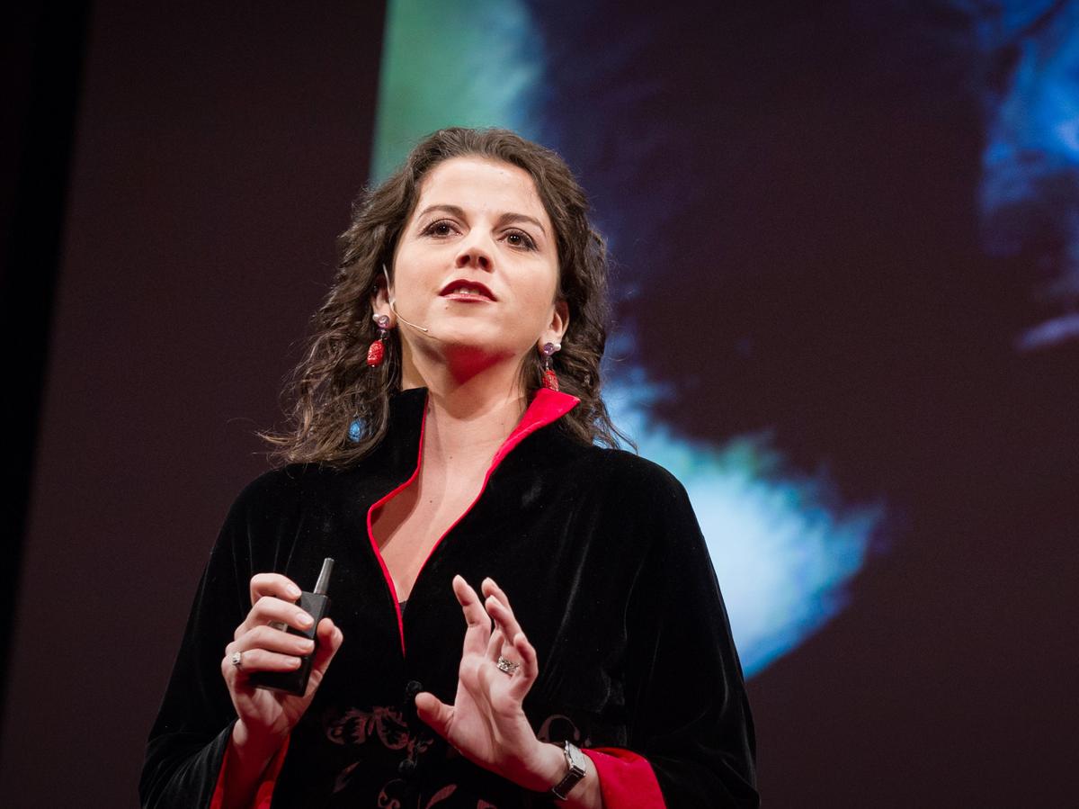 What Can Bonobos Teach Us About Play? | TED Radio Hour | WNYC