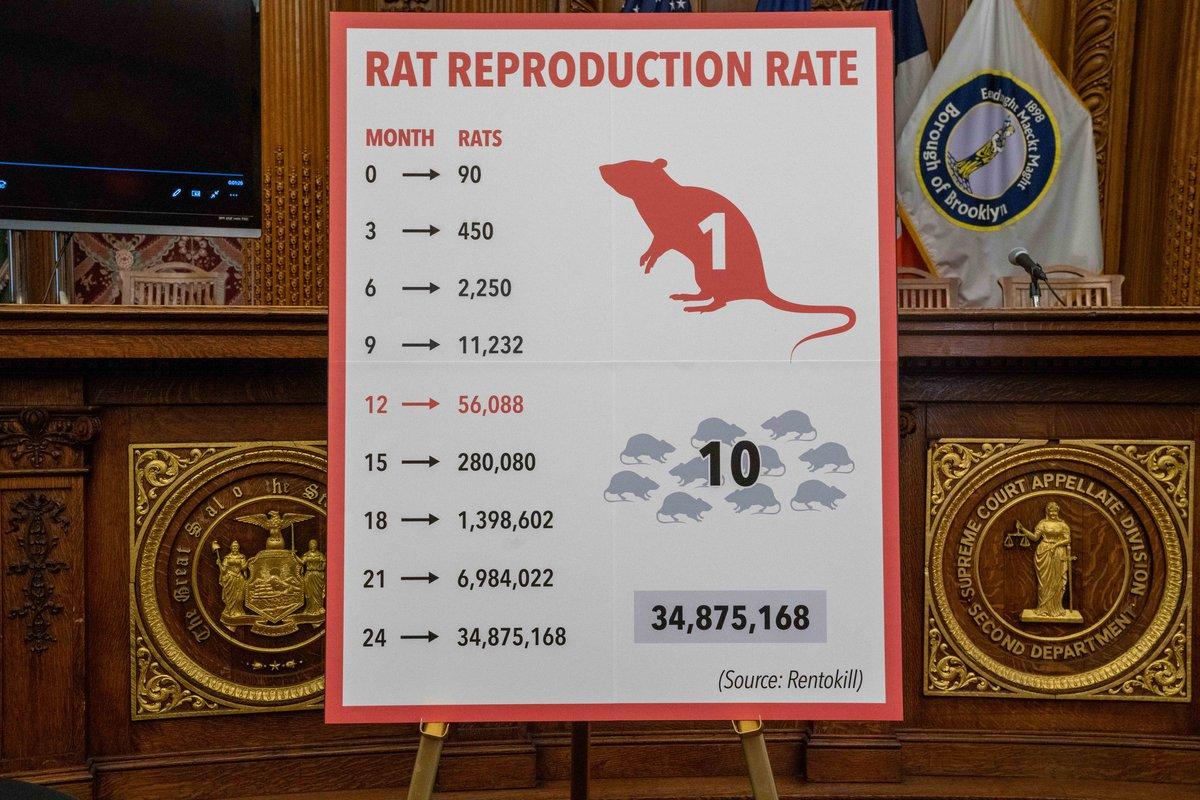 Democrat Debate Part III; Rats and the City; State and Federal Efforts ...