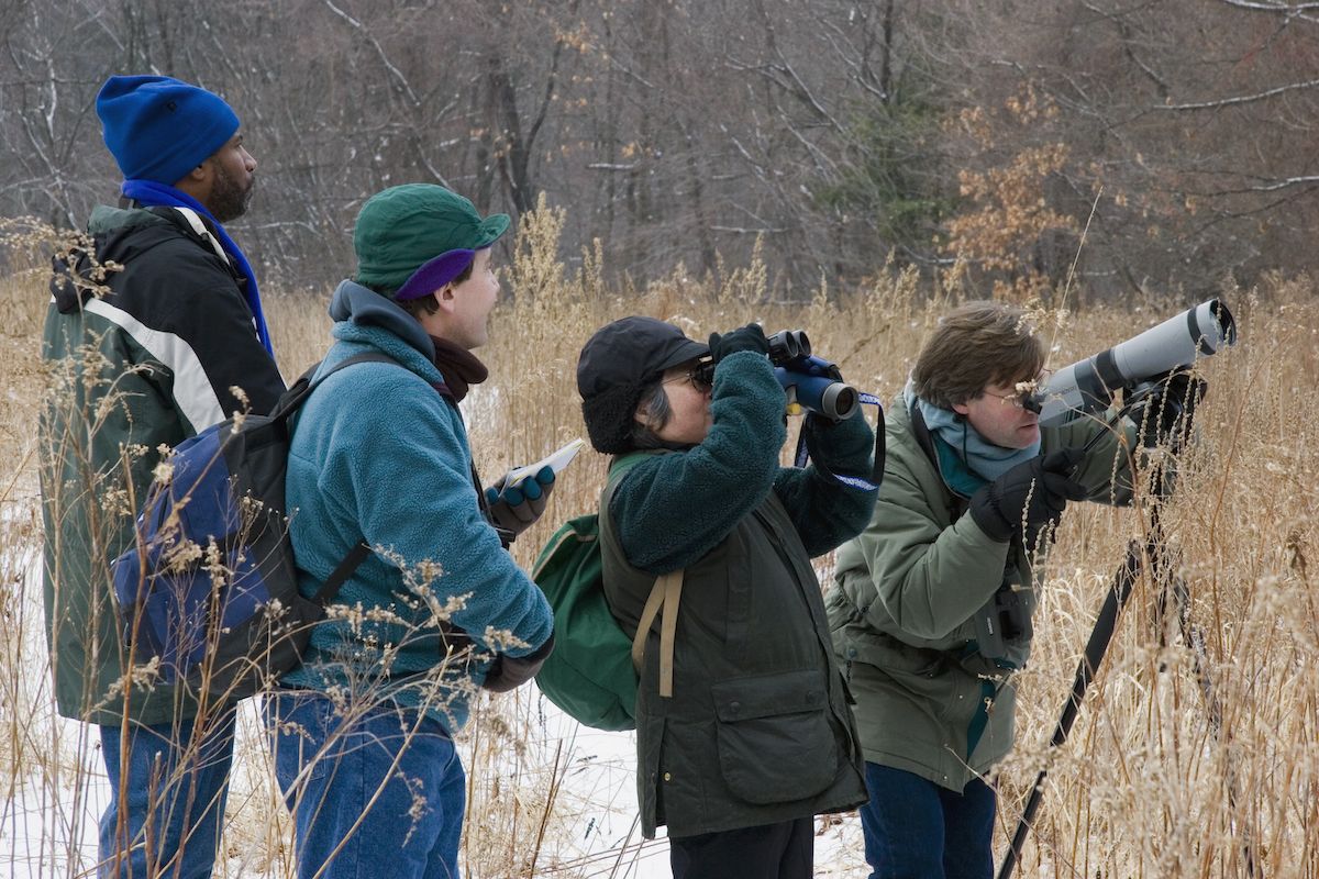 Spring Is Springing: What It Means For Urban Wildlife | All Of It ...