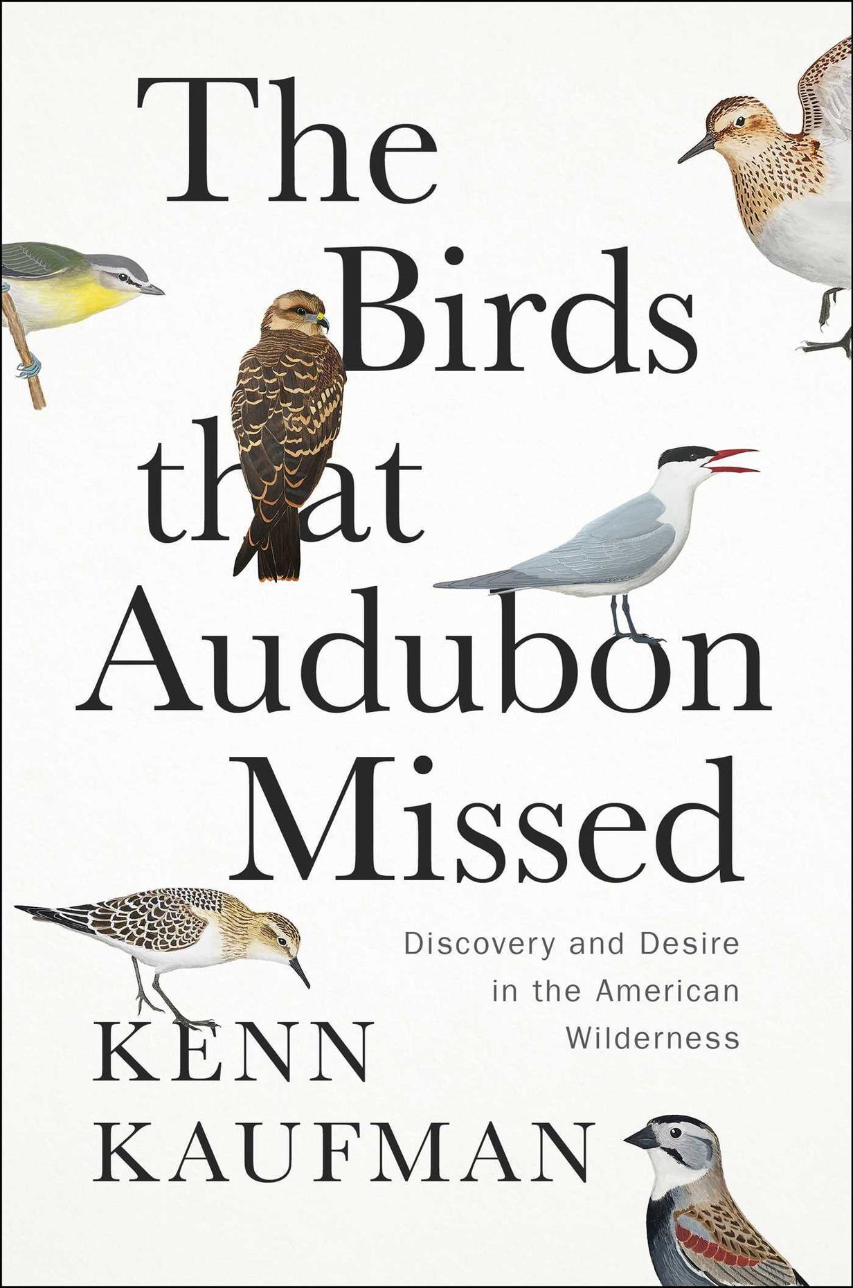 When Birding Was Cutthroat | All Of It | WNYC Studios