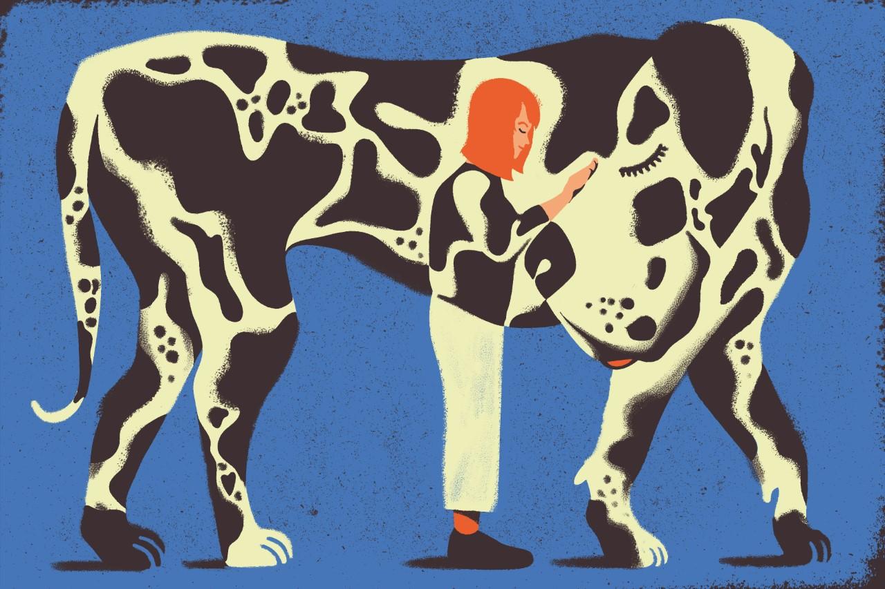 Susan Orlean’s Animal Obsession, and an Interview with Merrick Garland ...