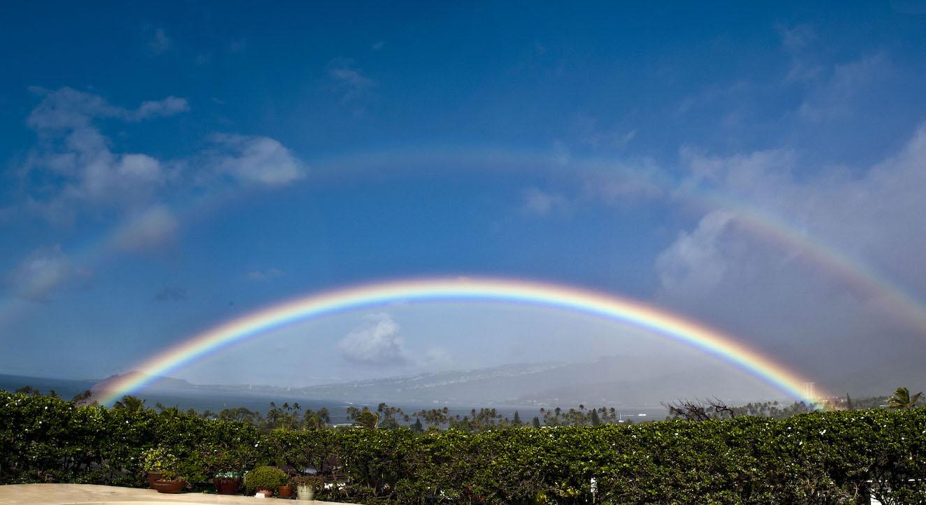 Greenland Plants, Privacy and Big Data, Rainbows. March 19, 2021, Part ...