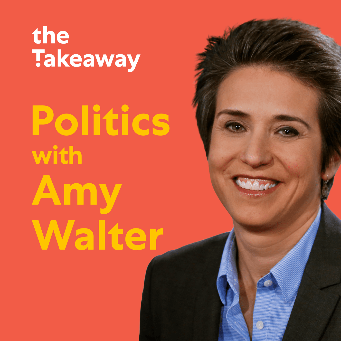 The Future of American Politics | Politics with Amy Walter | WNYC Studios