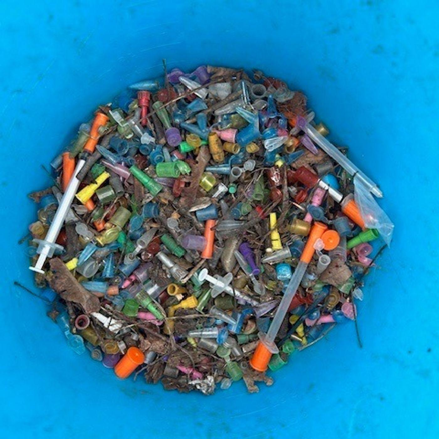 Central Park's North Woods filled with drug litter, alarming Harlem ...