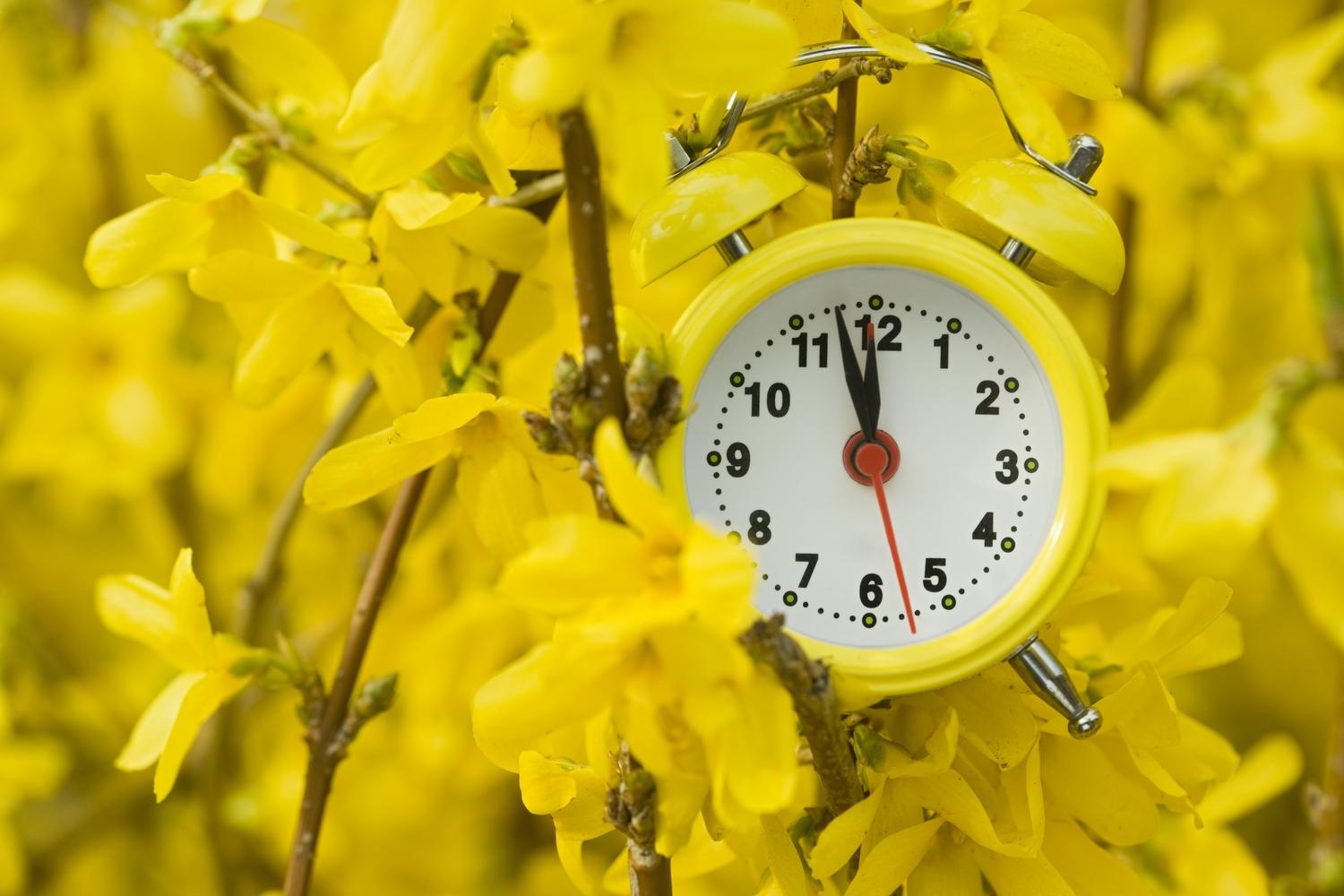 From the Pocket Watch to the Smart Watch: A Short History of ...