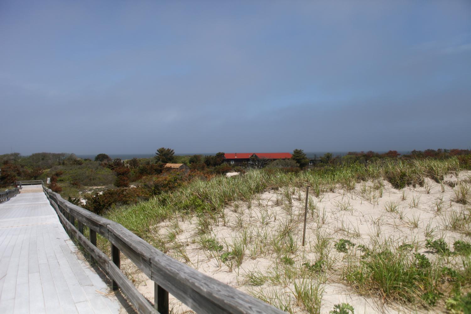 Things To Do On Long Island | All Of It | WNYC Studios