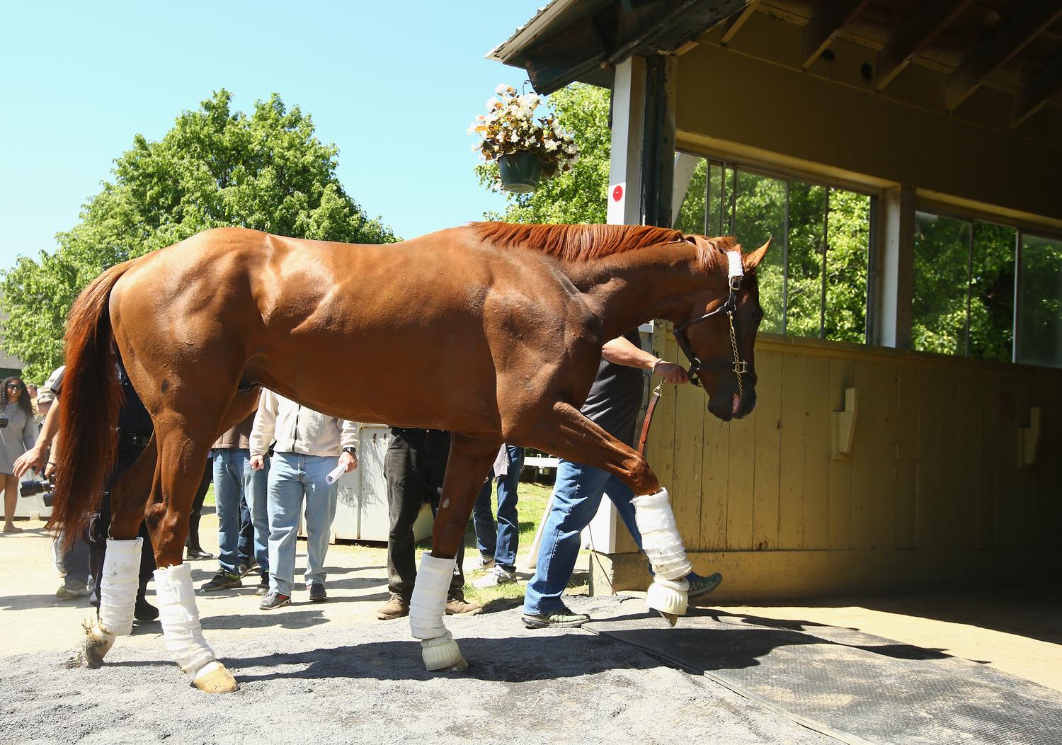 A Shot at the Triple Crown | The Brian Lehrer Show | WNYC Studios