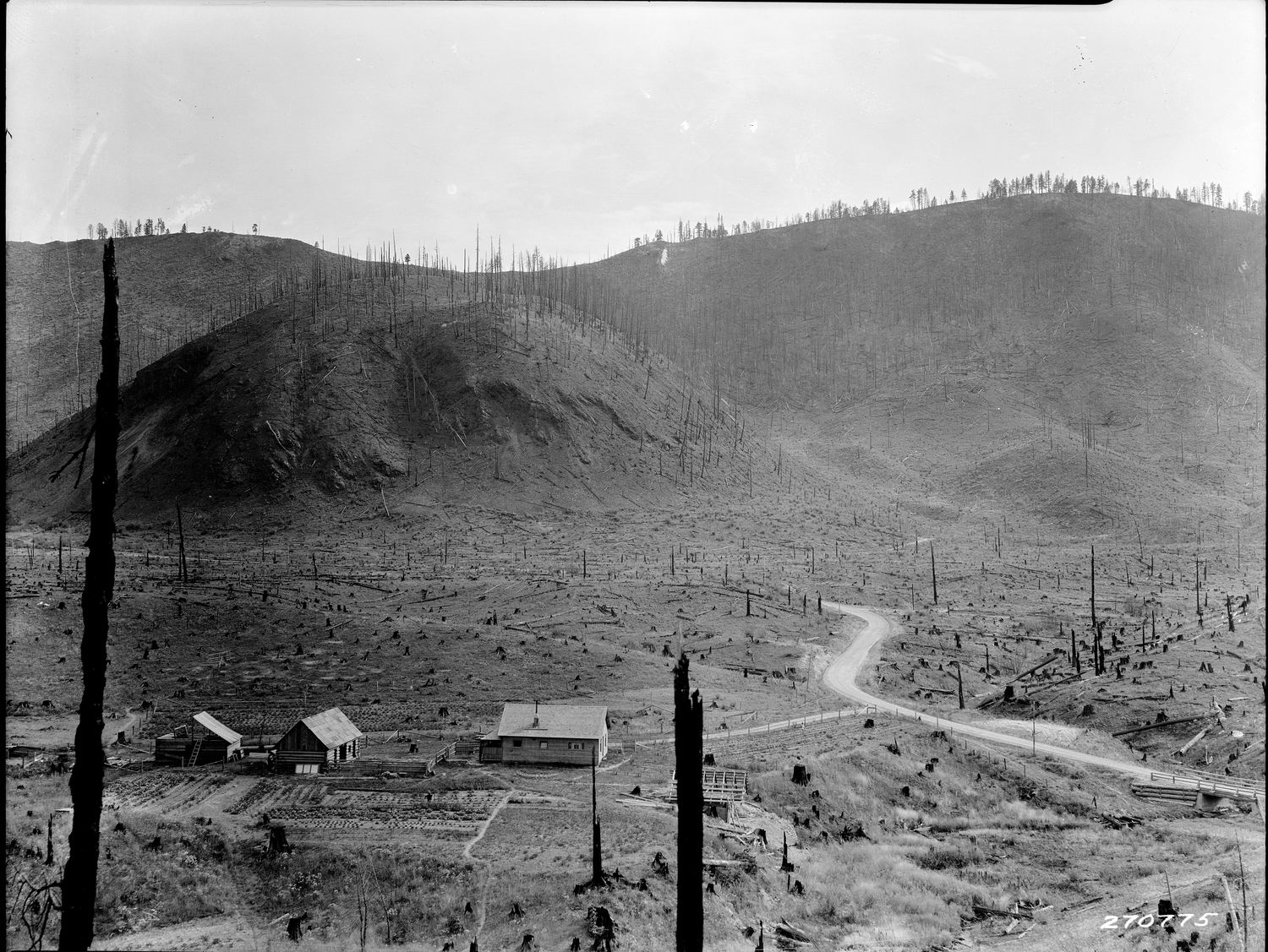 The 1910 Fire That Burned Through Nearly 3 Million Acres in 36 Hours ...