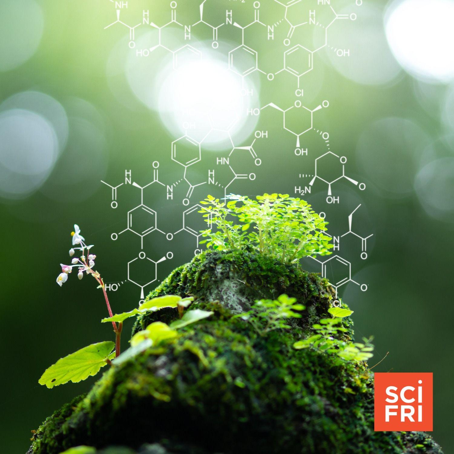 How Five Elements Define Life On Earth | Science Friday | WNYC Studios