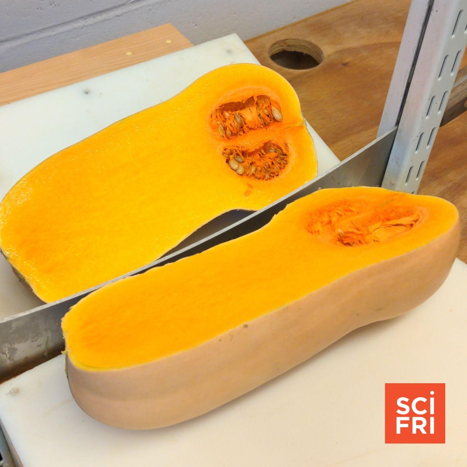 Everything You Never Knew About Squash And Pumpkins | Science Friday ...