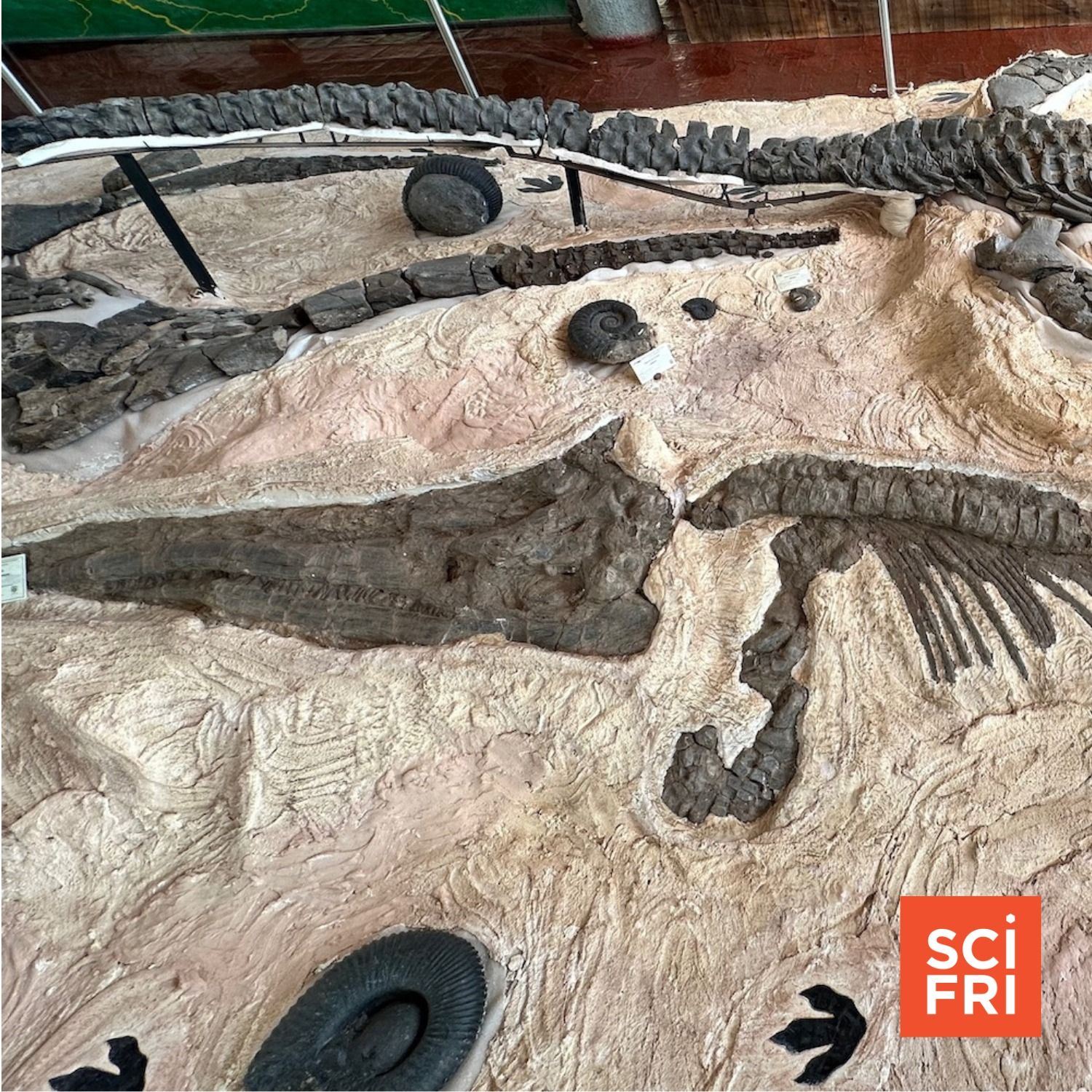 Rapidly Evolving Trout & Ancient Hyper-Apex Predators | Science Friday ...