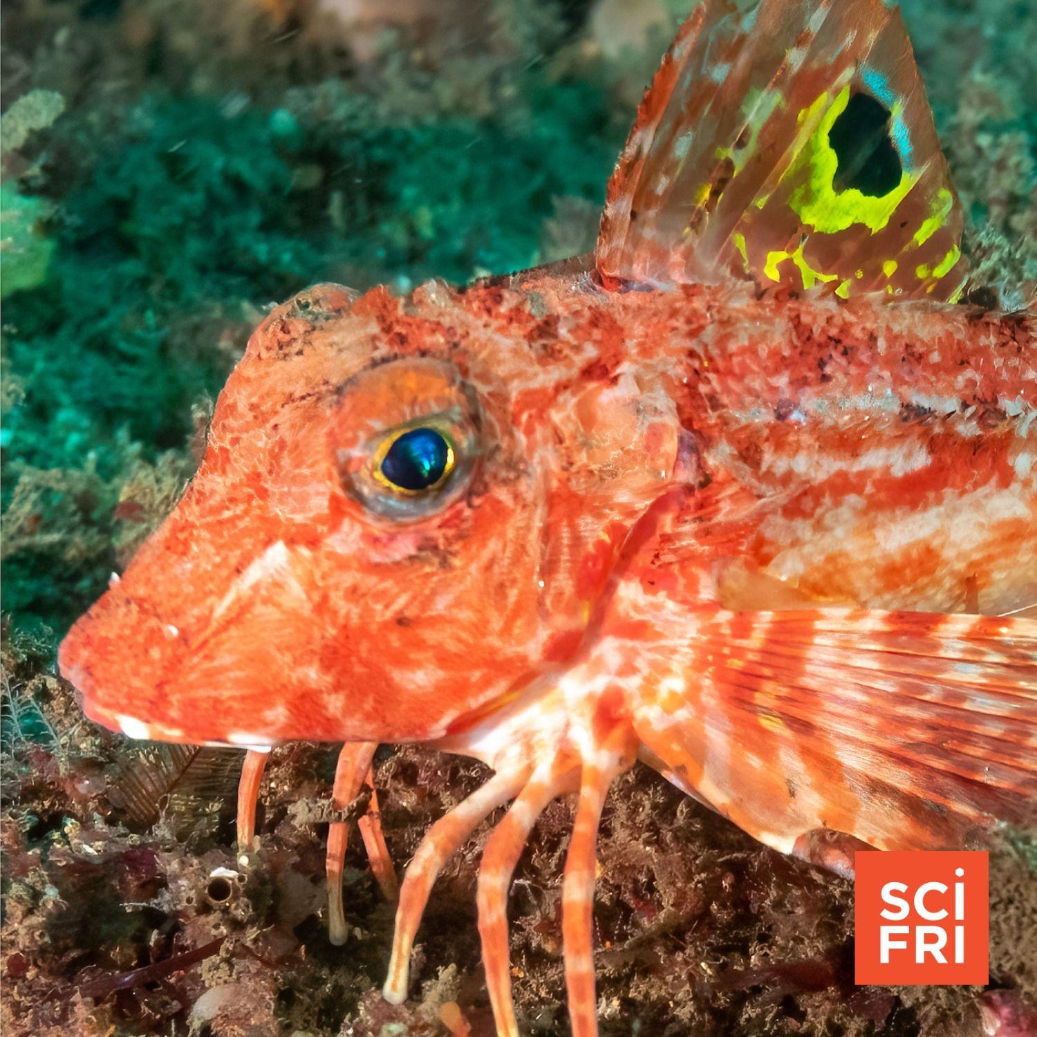 Microsoft Makes Deal To Restart Three Mile Island | Fish That Use Their ...