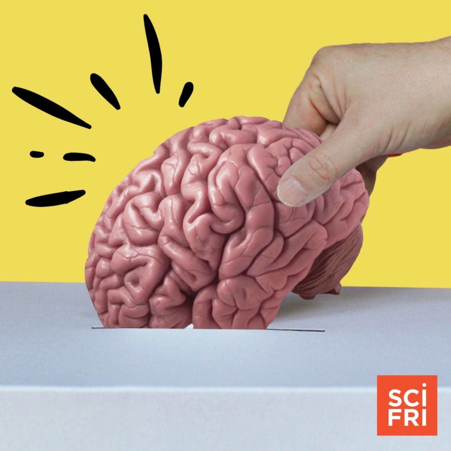 How Campaigns Use Psychology To Get Out The Vote | Science Friday ...