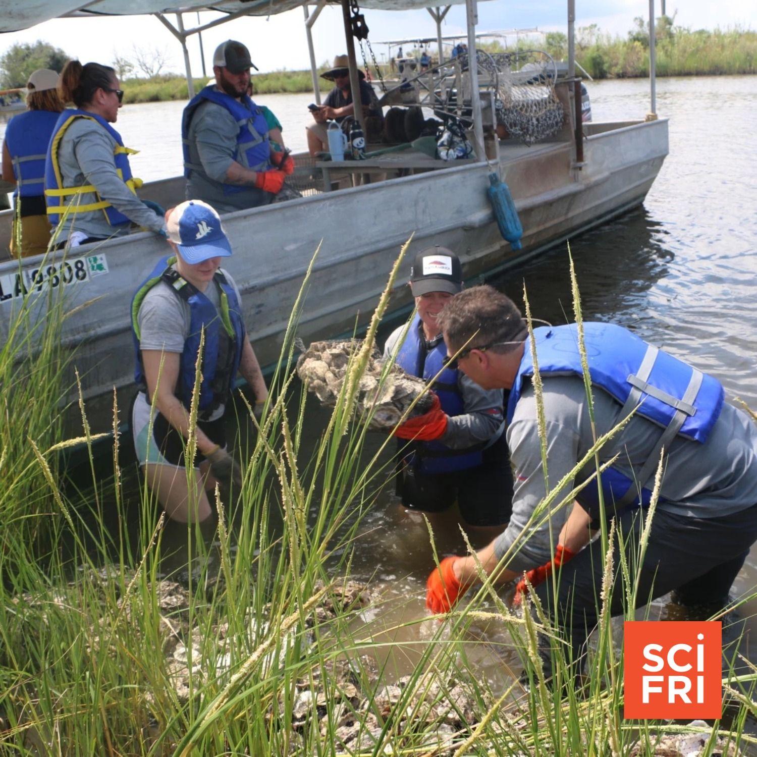 Restoring Drinking Water After Hurricane Helene | Oyster Shell Reefs And Sea Level Rise ...
