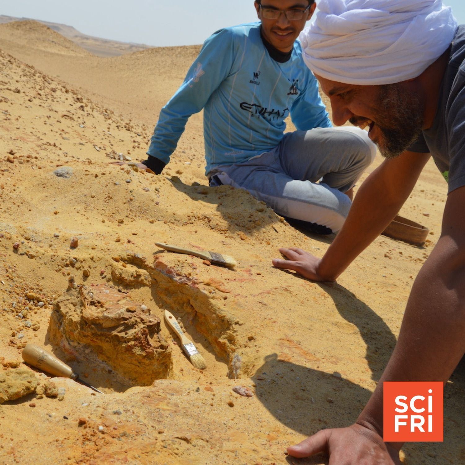 An Animal’s Size And Its Cancer Risk | Bastetodon, A 30 Million-Year ...