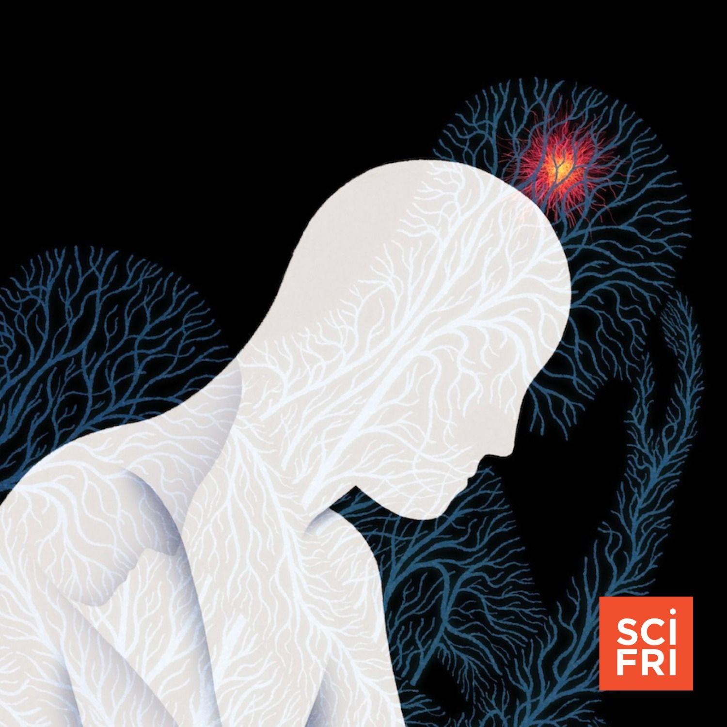 Untangling The Mind-Body Connection In Chronic Pain | Science Friday ...