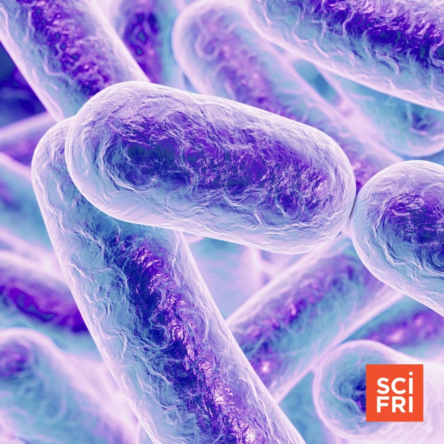 How Do Bacteria Talk To Each Other? | Science Friday | WNYC Studios