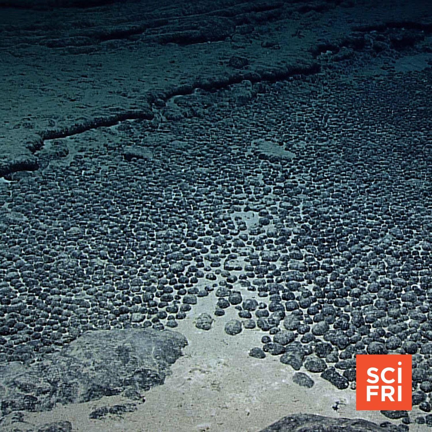 Cuts To NASA And A Fast-Track For Deep Sea Mining | Science Friday ...