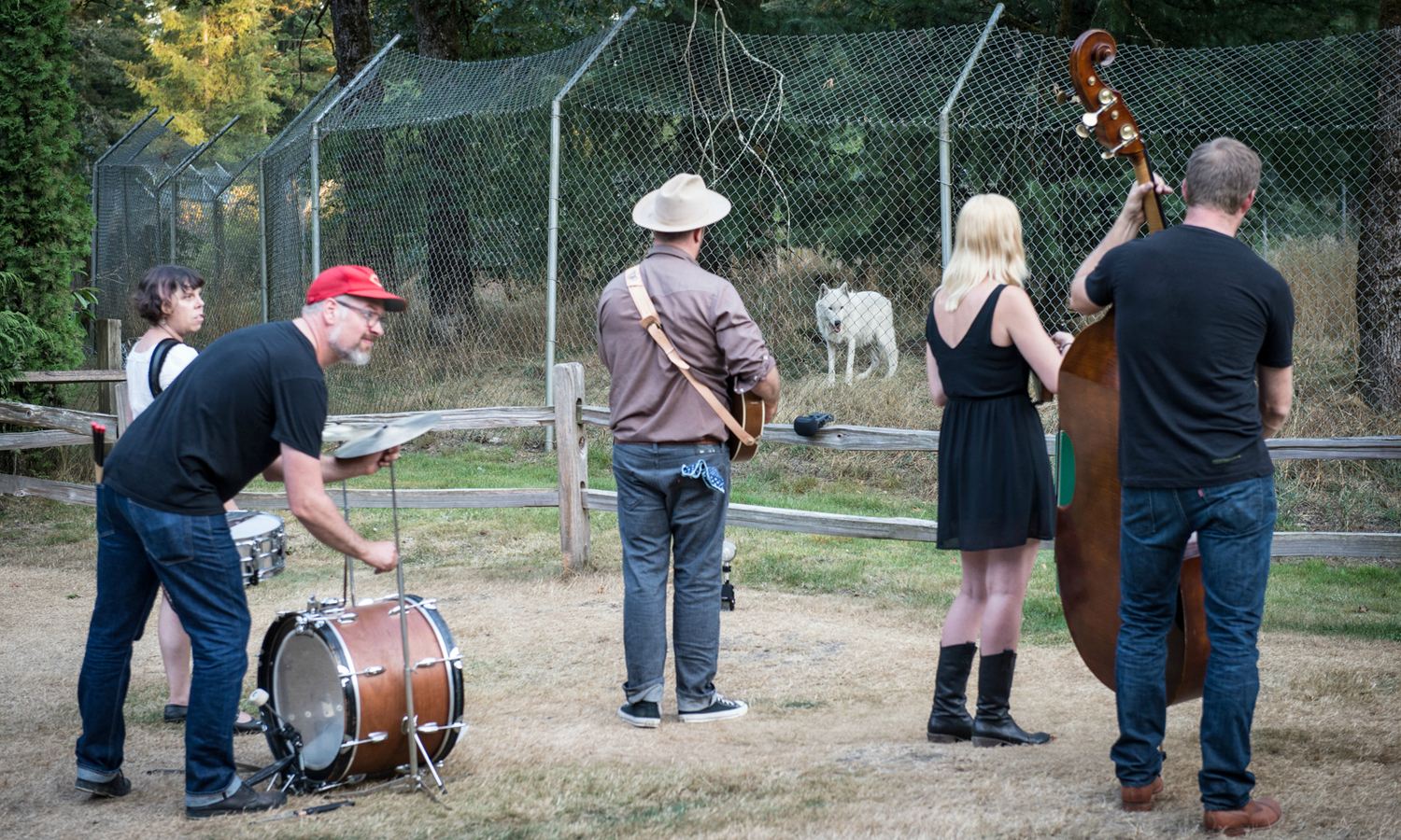 Making Music For Animals | Studio 360 | WNYC Studios