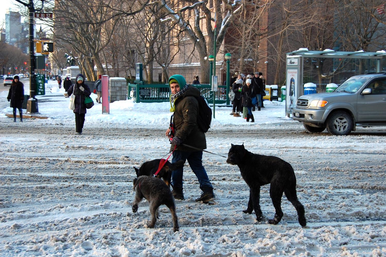 Tips For Coping With the Cold and Snow | The Brian Lehrer Show | WNYC ...