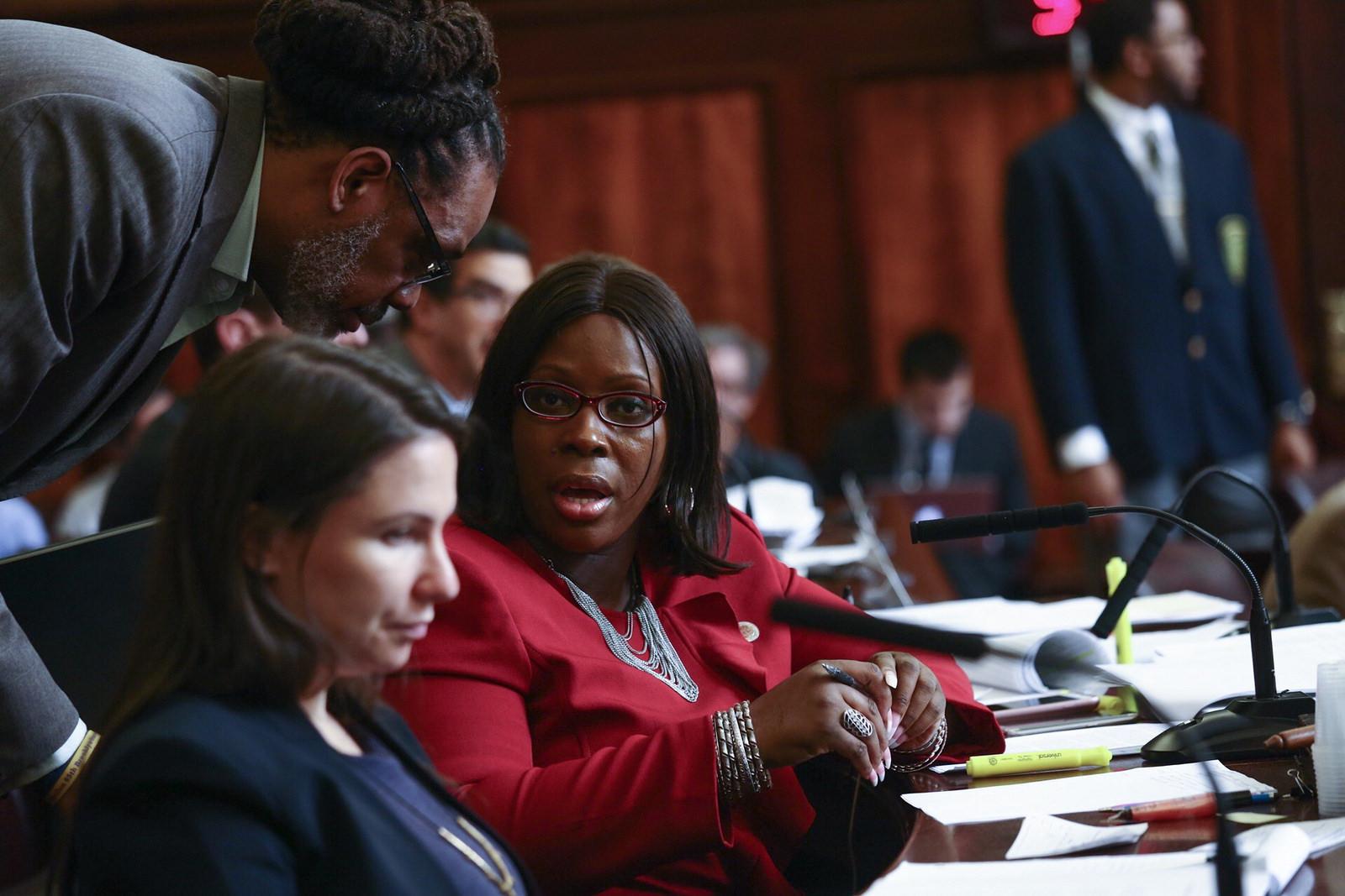A Conversation With The New Bronx Borough President Vanessa Gibson ...