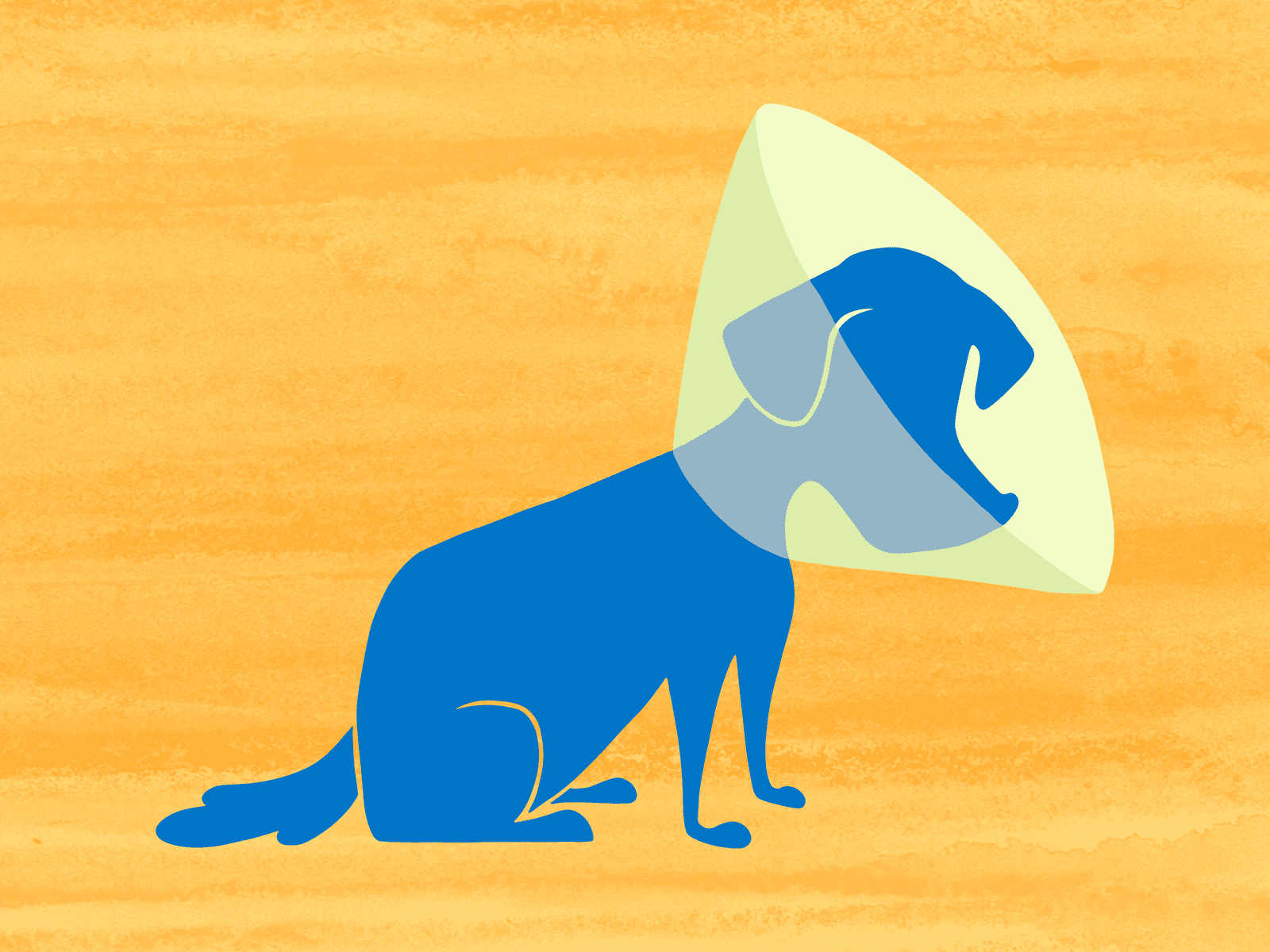 Cone of Shame | This Podcast Has Fleas | WNYC Studios