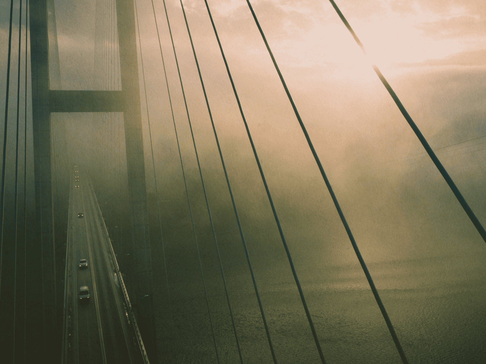 Matt Collette | 10 Things That Scare Me | WNYC Studios