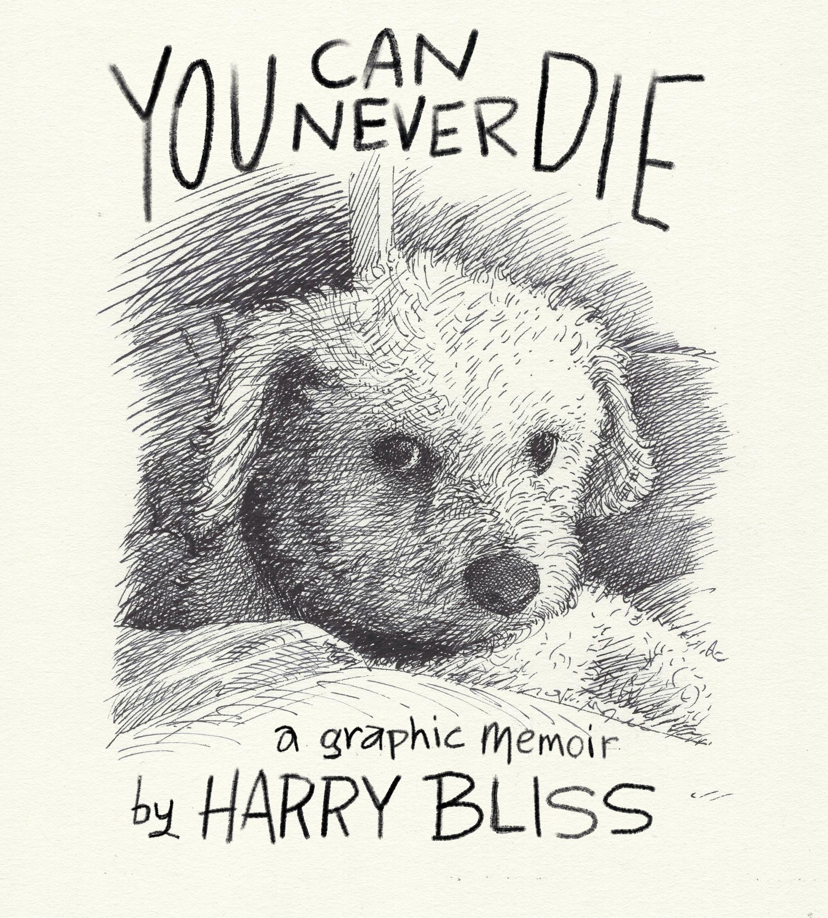 Cartoonist Harry Bliss On Grieving His Dog Through Drawing | All Of It ...