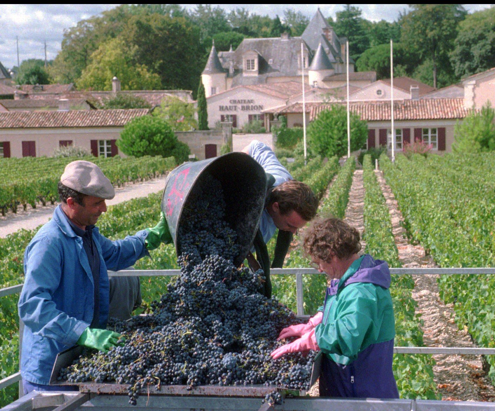 The Red Wine Paradox | On the Media | WNYC Studios