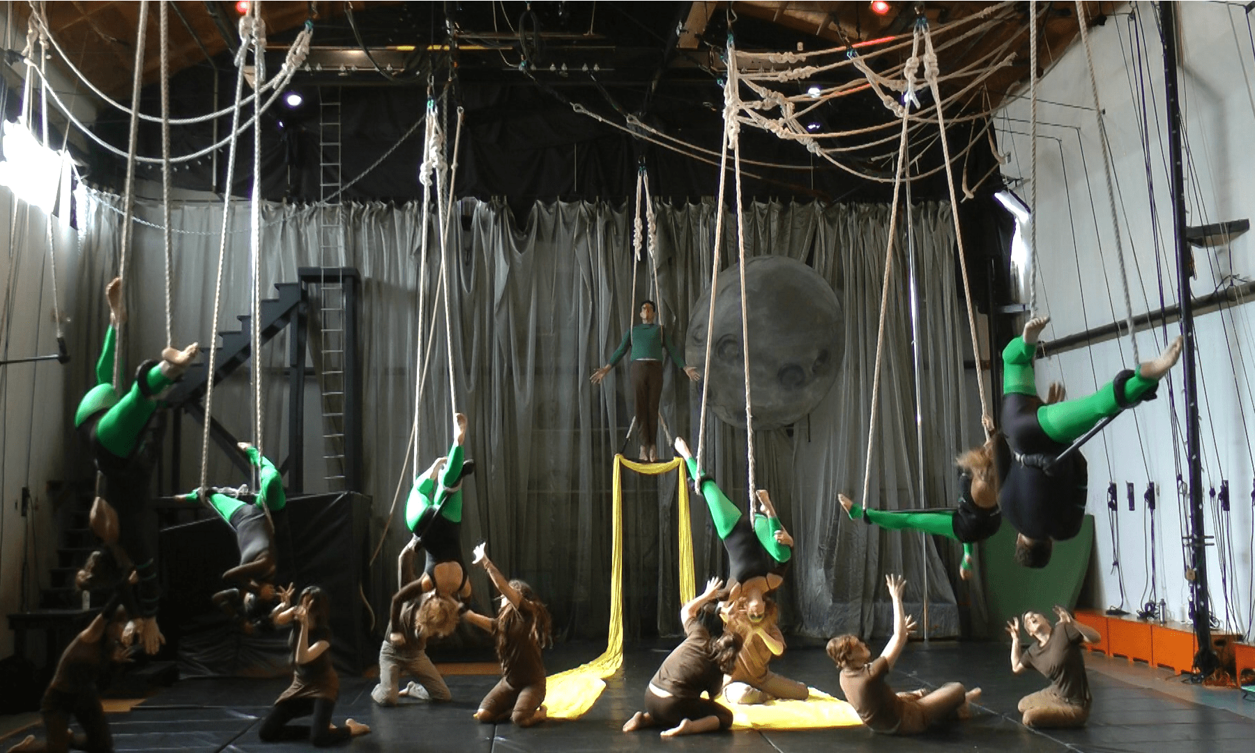 Dancing with the Scientists | Studio 360 | WNYC