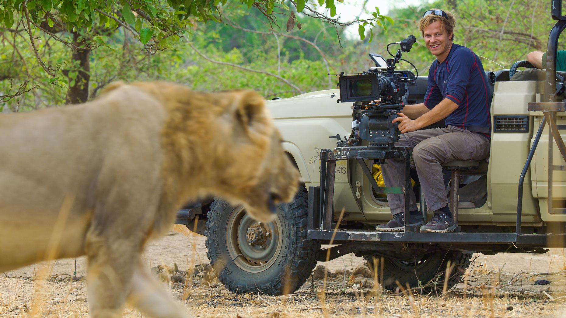 Wildlife Photographer and Cinematographer Bertie Gregory on His New ...