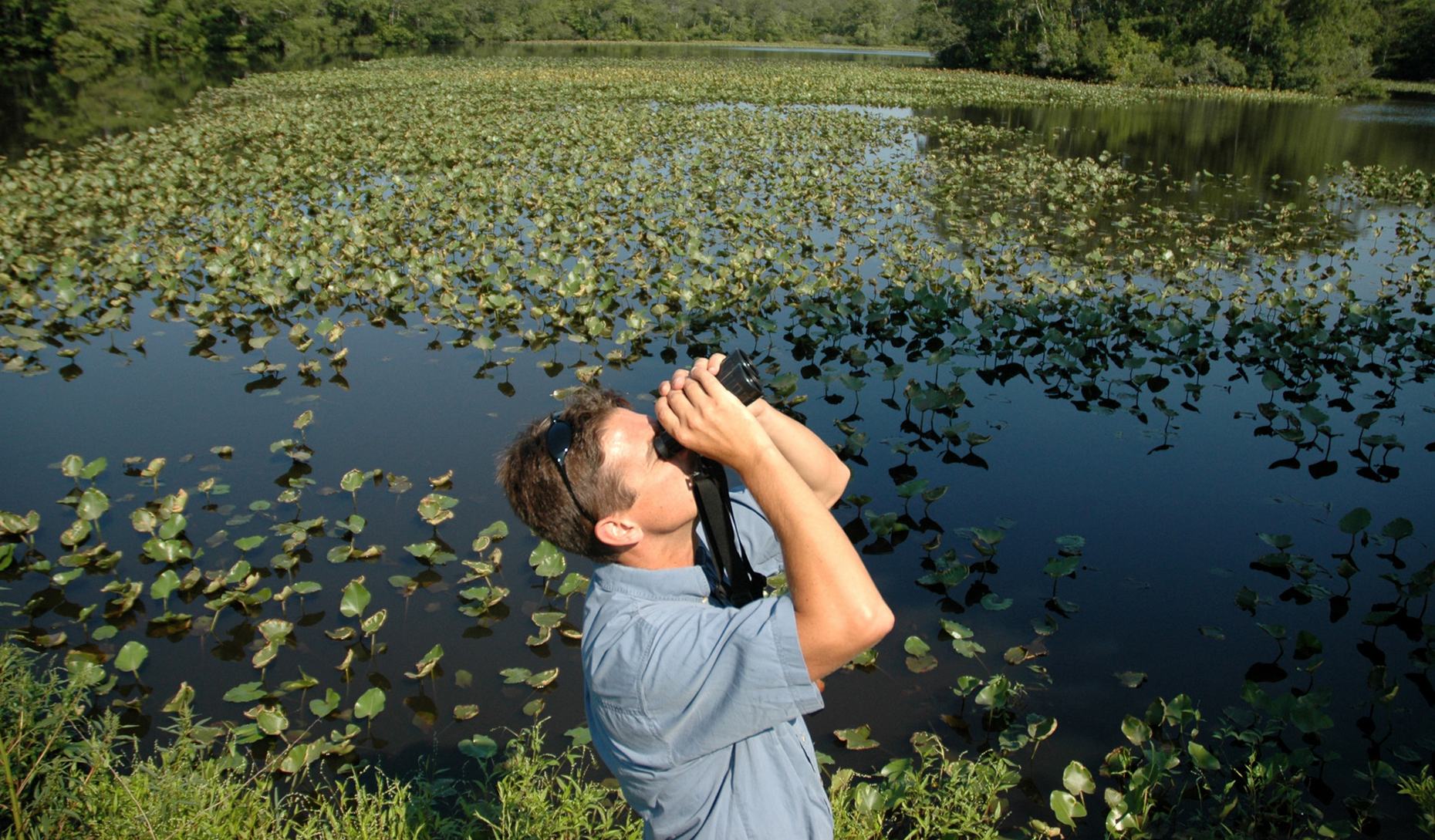 The Basics Of Birdwatching | The Leonard Lopate Show | WNYC