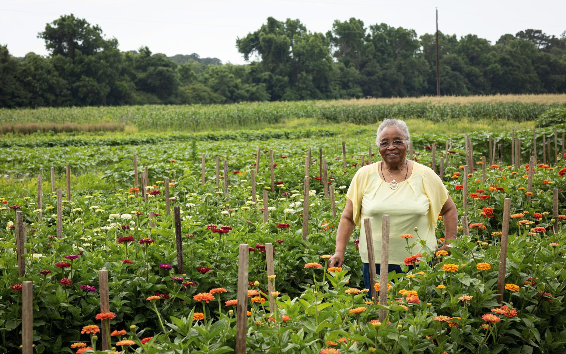 Replay: Gullah Geechee Home Cooking | The Takeaway | WNYC Studios