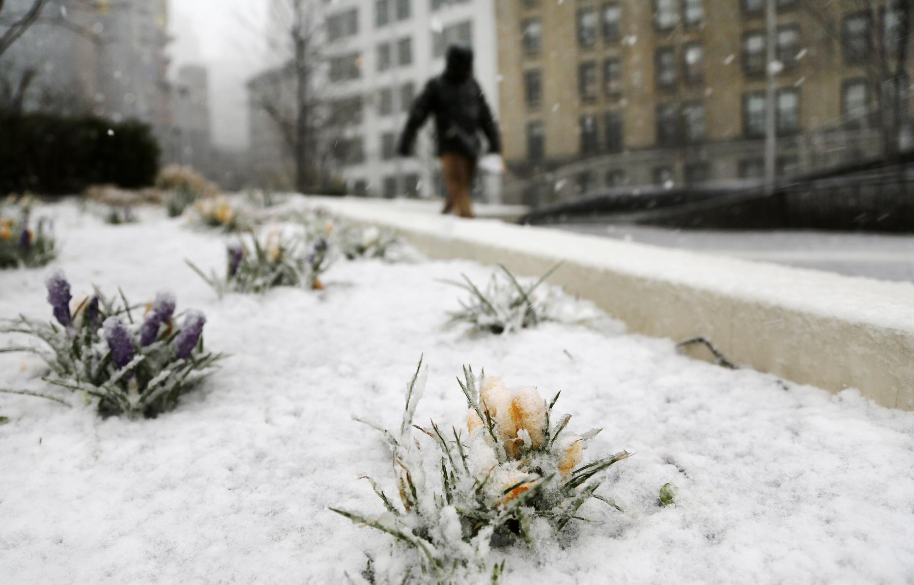 'Spring' Storm Bears Down on New York City | WNYC | New York Public ...