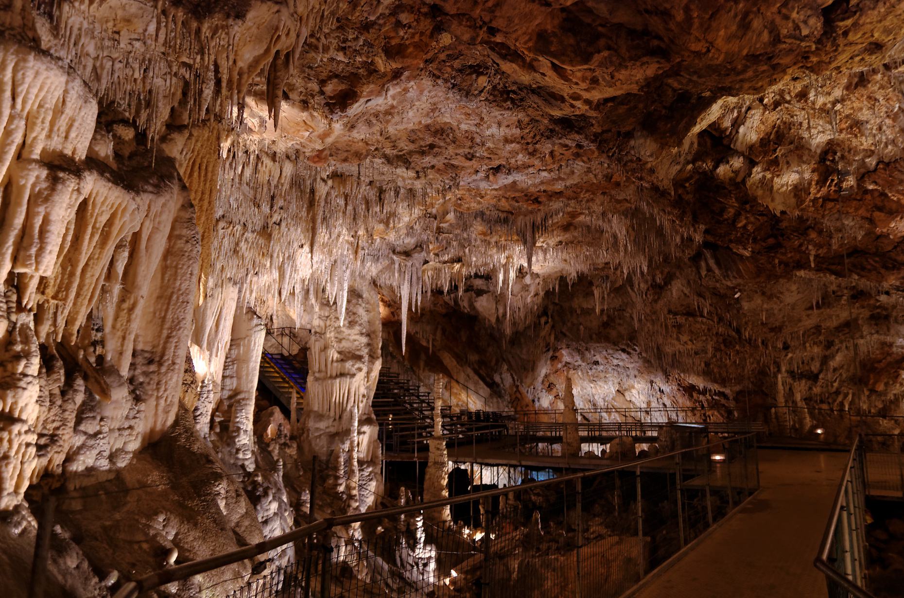 'Underland' | All Of It | WNYC