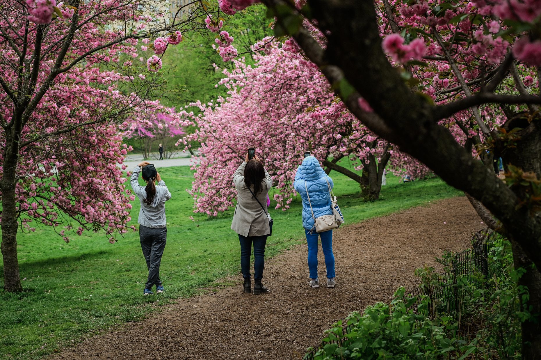 How to prepare for spring allergy season | All Of It with Alison ...