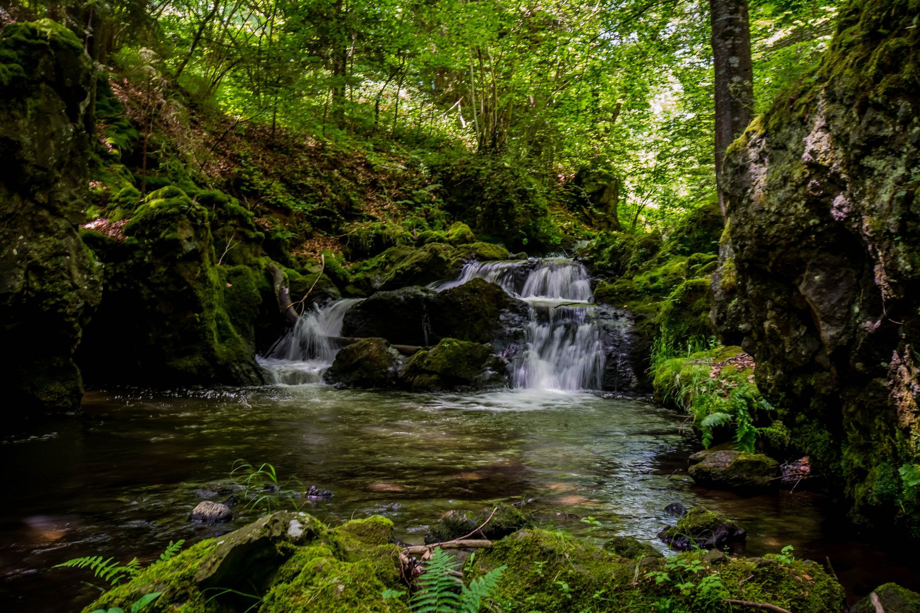 Celebrating Summer with Beethoven's 'Pastoral,' an Evocation of Nature ...