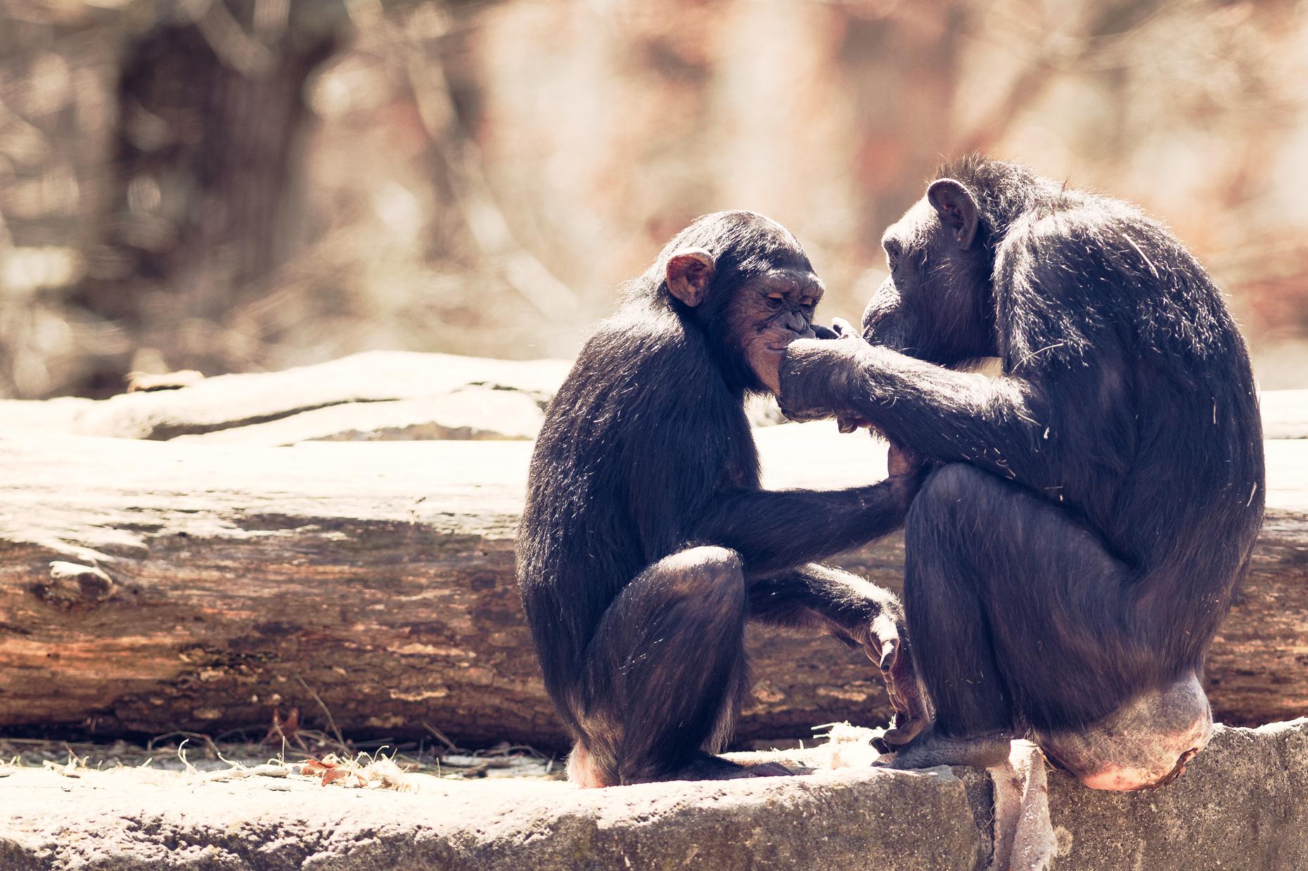 The Science of Gratitude | Specials | WNYC The Science of Gratitude | Specials | WNYC